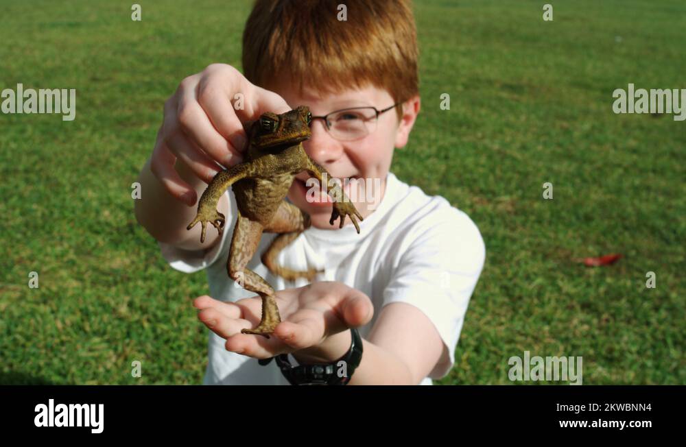 Boy with a frog Stock Videos & Footage - HD and 4K Video Clips - Alamy