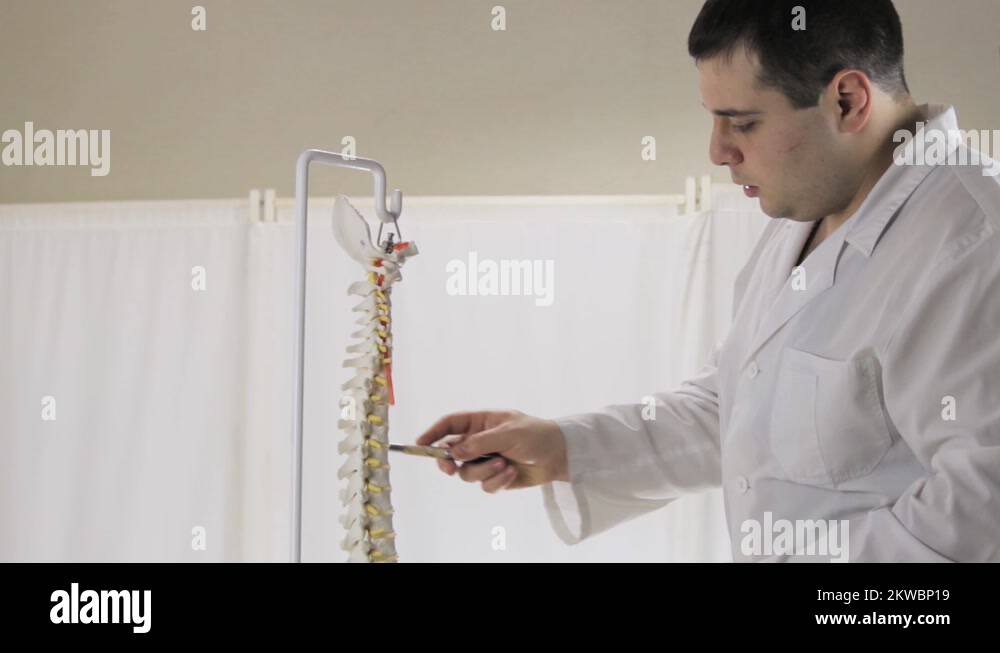 Doctor tells about the structure of plaster cast of human vertebrae ...