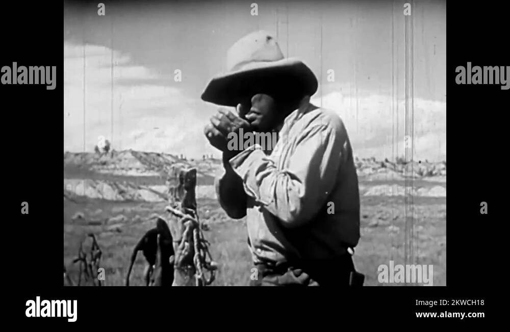 Roundup cattle Stock Videos & Footage - HD and 4K Video Clips - Alamy