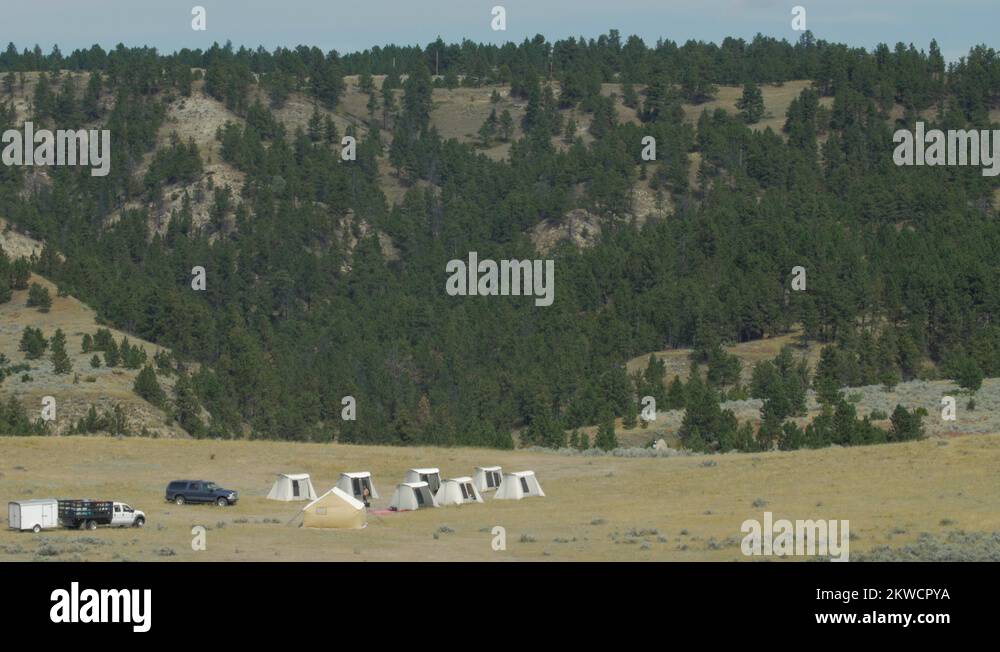 Small copse or group of trees Stock Videos & Footage - HD and 4K Video ...