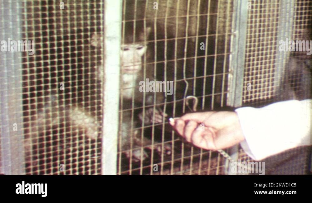 Surgery 1950s Stock Videos & Footage - HD and 4K Video Clips - Alamy