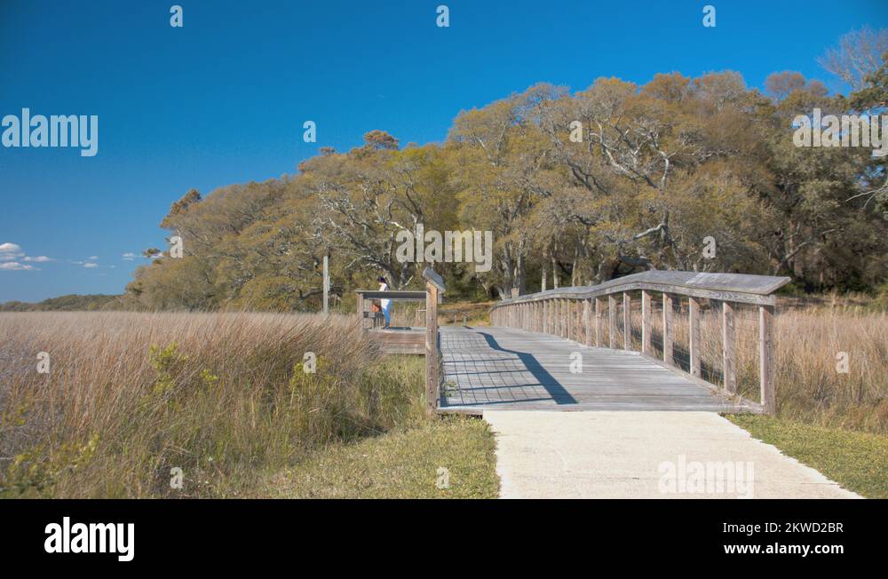 Historical history pathway Stock Videos & Footage - HD and 4K Video ...