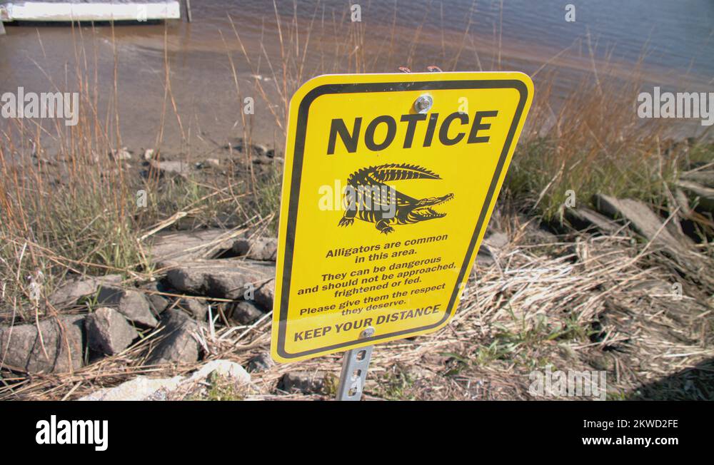 Alligator warning sign danger Stock Videos & Footage - HD and 4K Video ...