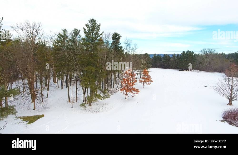 Crane valley Stock Videos & Footage - HD and 4K Video Clips - Alamy