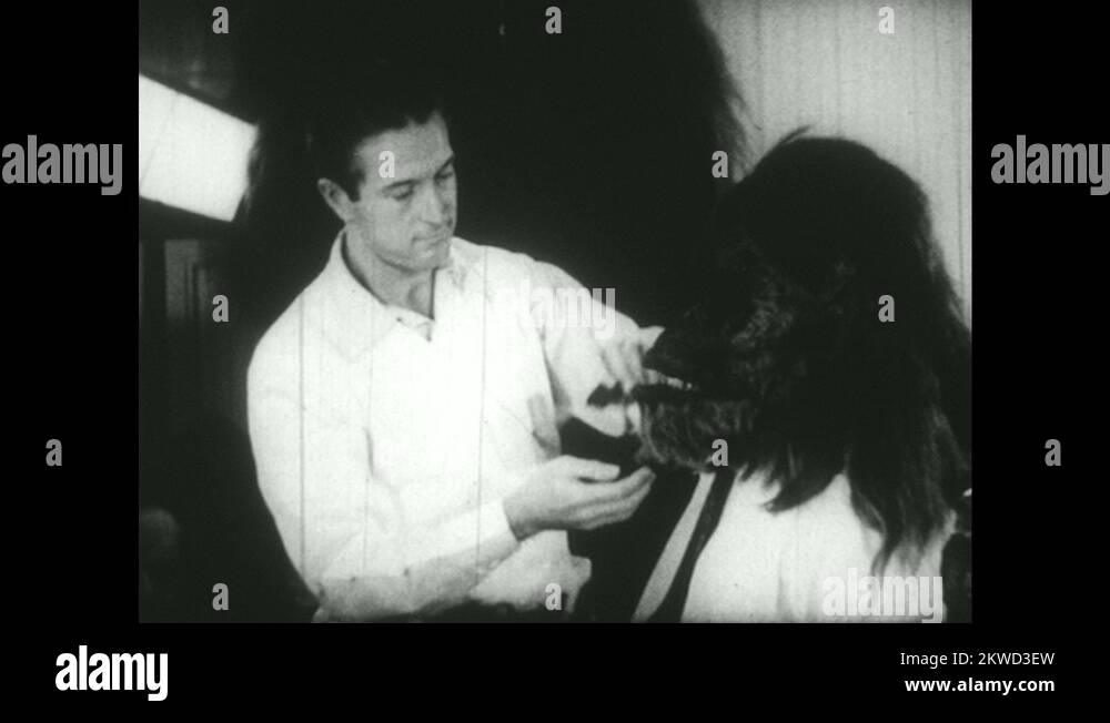 Walt disney cartoons Stock Videos & Footage - HD and 4K Video Clips - Alamy