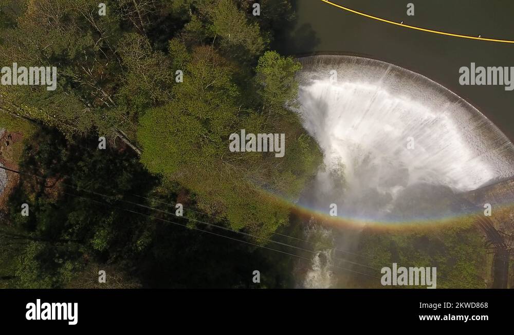 Rain storm flooding trees Stock Videos & Footage - HD and 4K Video ...