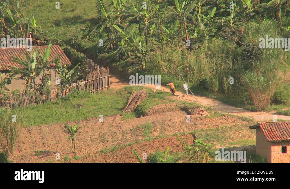Terrace farming rwanda Stock Videos & Footage - HD and 4K Video Clips ...