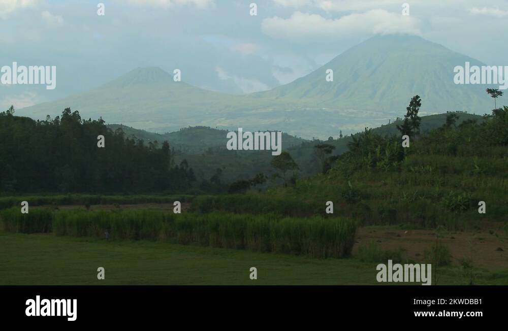 Rwanda congo border Stock Videos & Footage - HD and 4K Video Clips - Alamy
