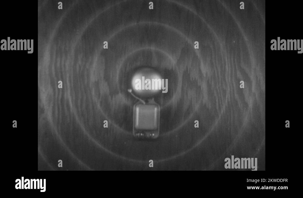 Bell anatomy Stock Videos & Footage - HD and 4K Video Clips - Alamy