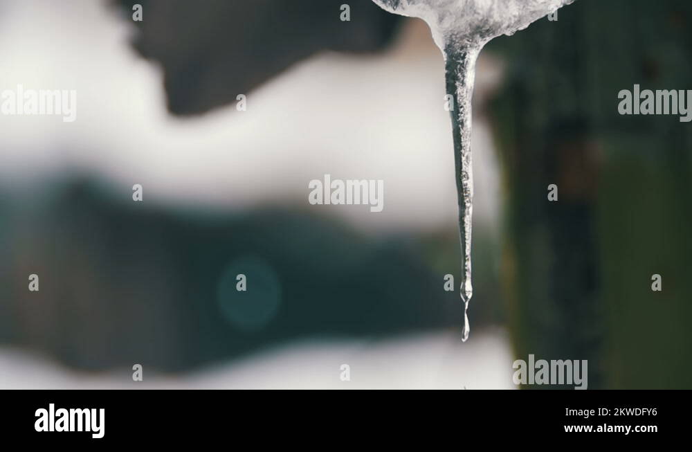 Snow Melts from the Roofs and Drips Down in the Spring. Slow Motion ...
