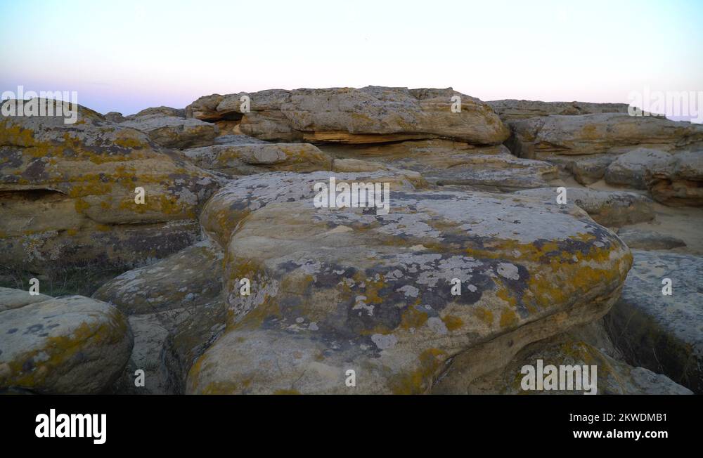 Cave lichen Stock Videos & Footage - HD and 4K Video Clips - Alamy