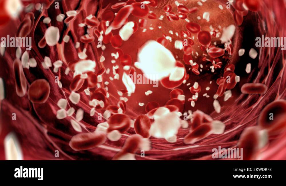 Blood clot formation Stock Videos & Footage - HD and 4K Video Clips - Alamy
