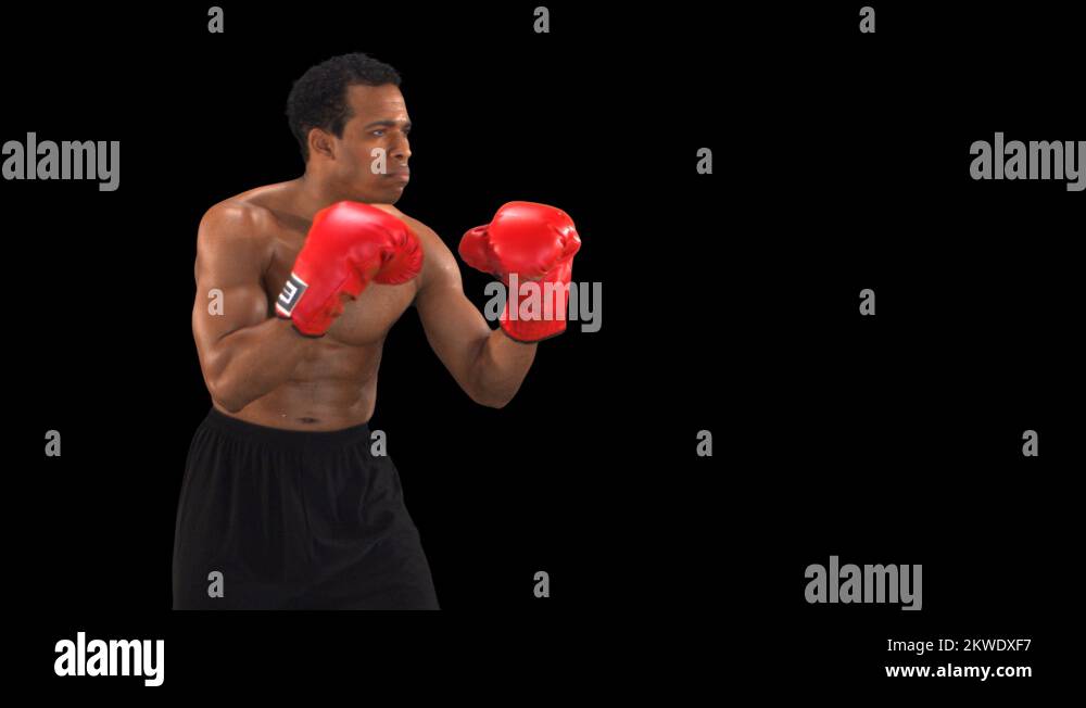 Boxer and punching Stock Videos & Footage - HD and 4K Video Clips - Alamy