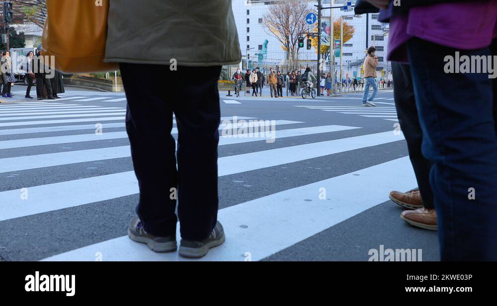 People walking at zebra crossing in Shinjuku area, Tokyo, Japan Stock ...