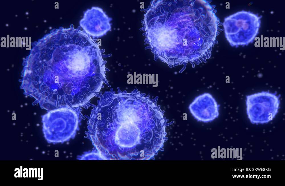 Lymphocyte white blood cells Stock Videos & Footage - HD and 4K Video ...
