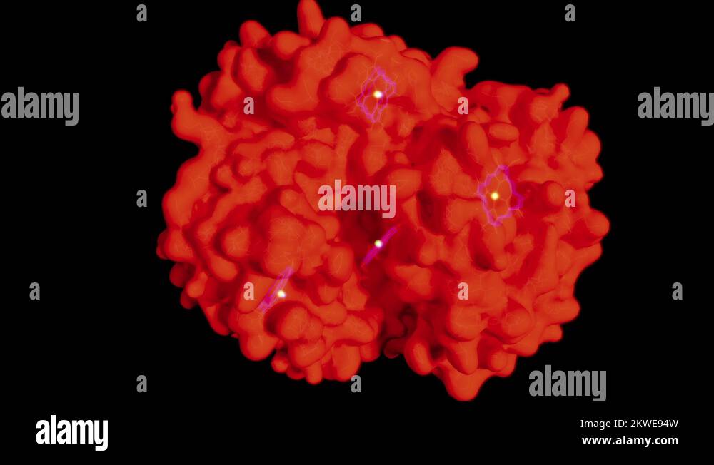 Haemoglobin molecule Stock Videos & Footage - HD and 4K Video Clips - Alamy