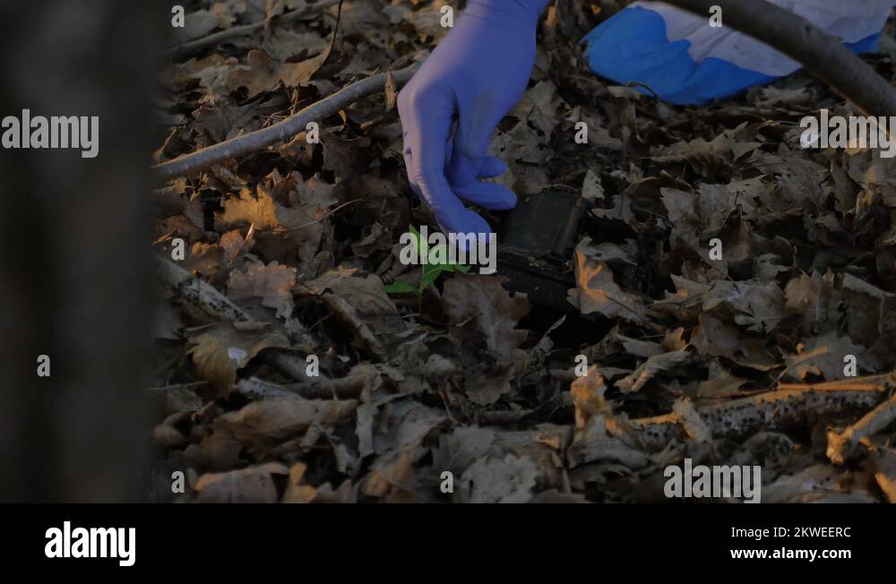 Forensic police officer Stock Videos & Footage - HD and 4K Video Clips ...