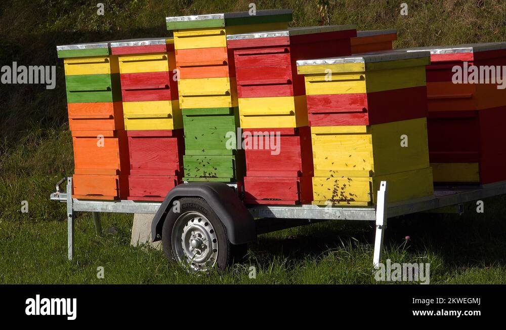 Trailer hive Stock Videos & Footage - HD and 4K Video Clips - Alamy