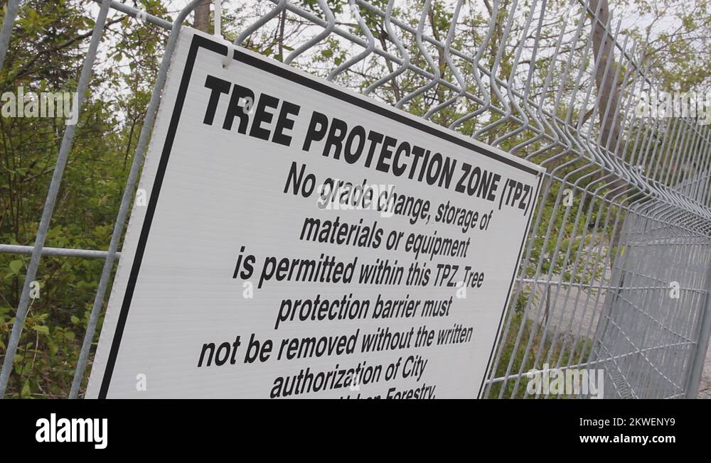 Tree protection sign Stock Videos & Footage - HD and 4K Video Clips - Alamy