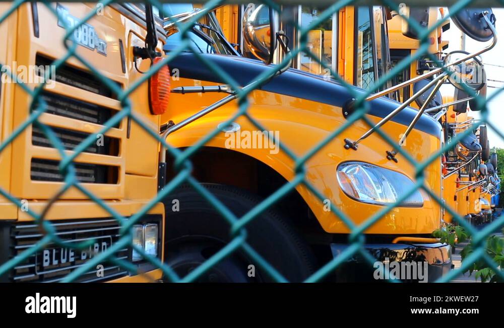 Buses back Stock Videos & Footage - HD and 4K Video Clips - Alamy