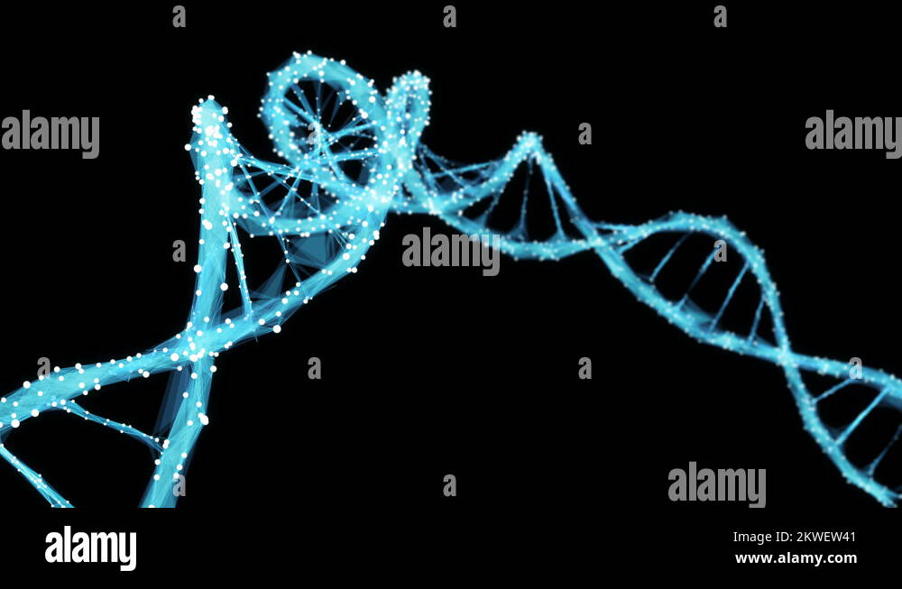 Motion Background Digital Polygon Plexus DNA molecule 4k Loop Alpha ...