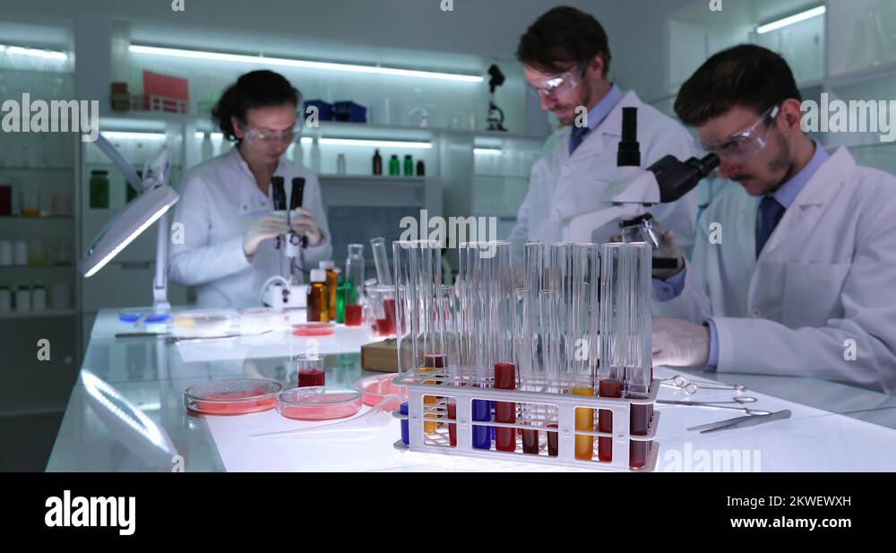 Forensics Science Team of Medical University Researchers Working in ...