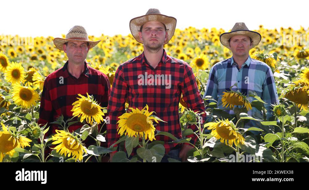 Farmers team Stock Videos & Footage - HD and 4K Video Clips - Alamy