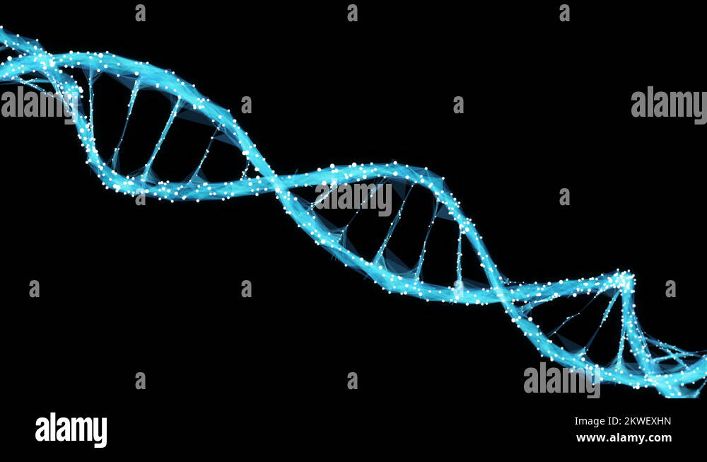 Motion Background Digital Polygon Plexus DNA molecule 4k Loop Alpha Matte Stock Video Footage ...