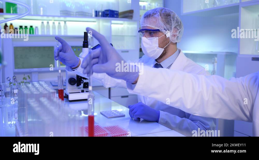 Team of Biochemists Using Micro Pipette Pouring Liquid in Microplate ...