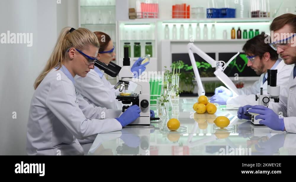 Team of Biologists Testing New Treatments on Lemon Hybrid Chemistry ...