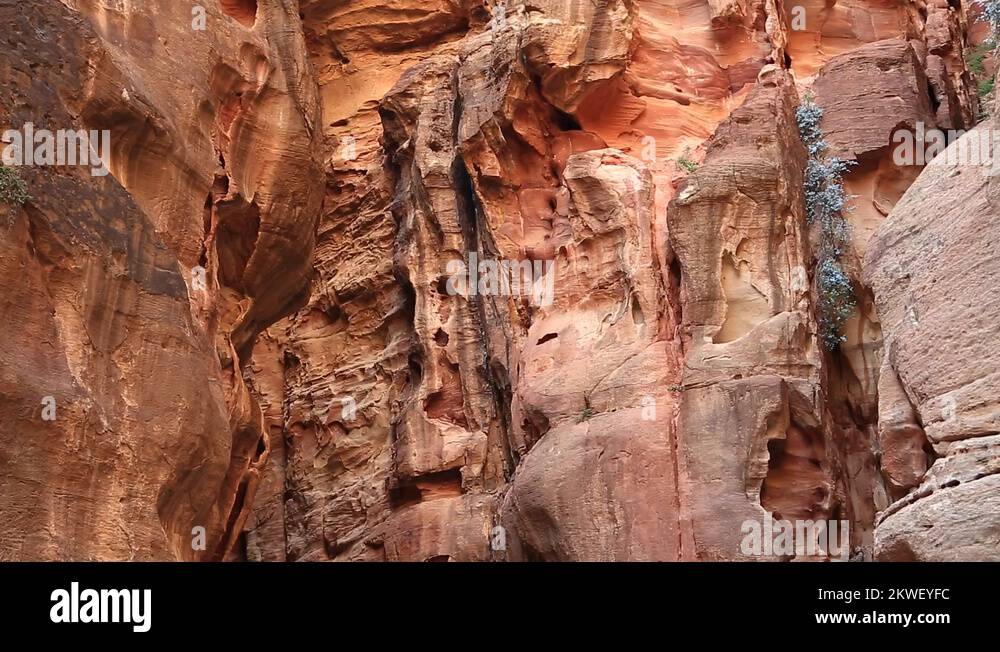 Wall of gorge siq in petra Stock Videos & Footage - HD and 4K Video ...