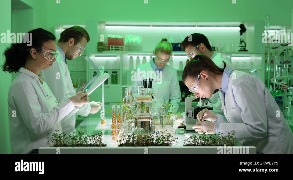 Plant seeds laboratory Stock Videos & Footage - HD and 4K Video Clips ...