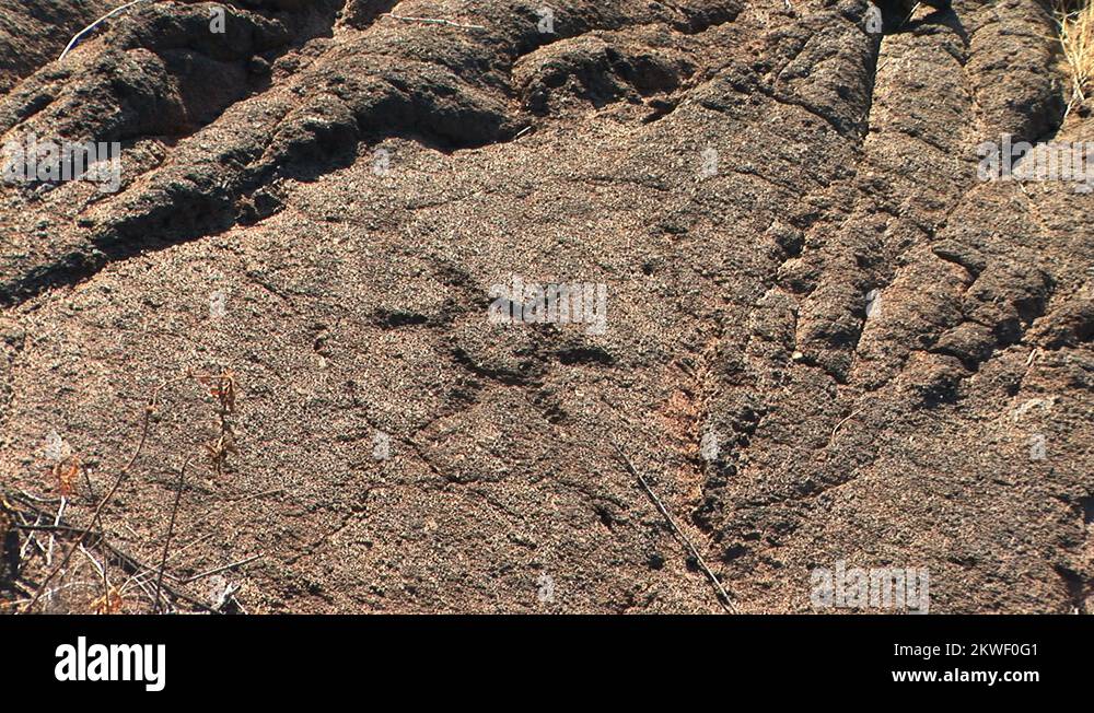 Hawaiian lava rock Stock Videos & Footage - HD and 4K Video Clips - Alamy