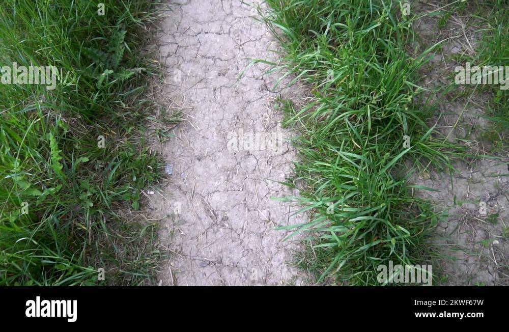 Footpath walks Stock Videos & Footage - HD and 4K Video Clips - Alamy