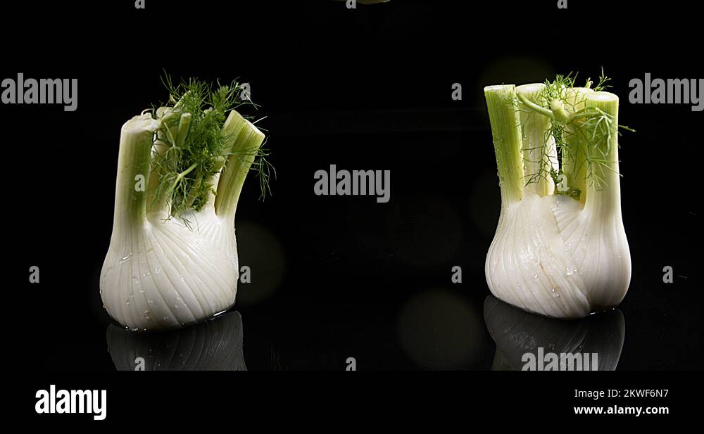 Foeniculum vulgare fennel Stock Videos & Footage - HD and 4K Video ...