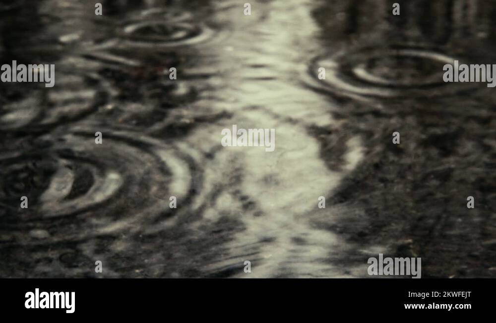 Puddle on the road Stock Videos & Footage - HD and 4K Video Clips - Alamy