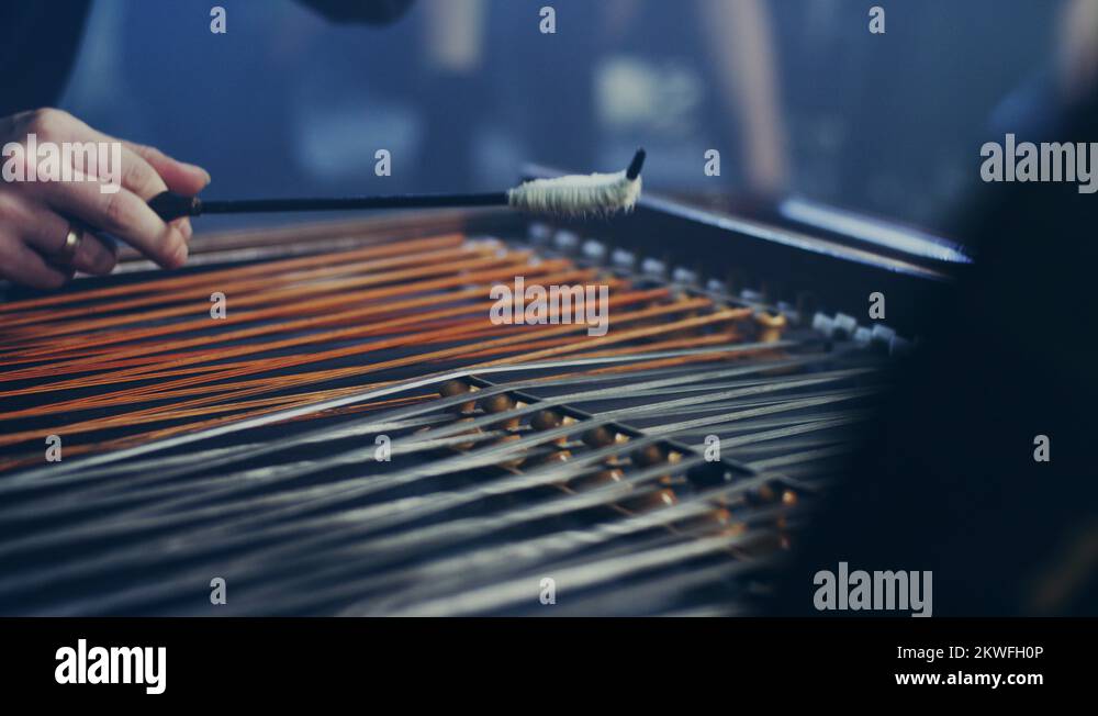 Music string instrument Stock Videos & Footage - HD and 4K Video Clips ...