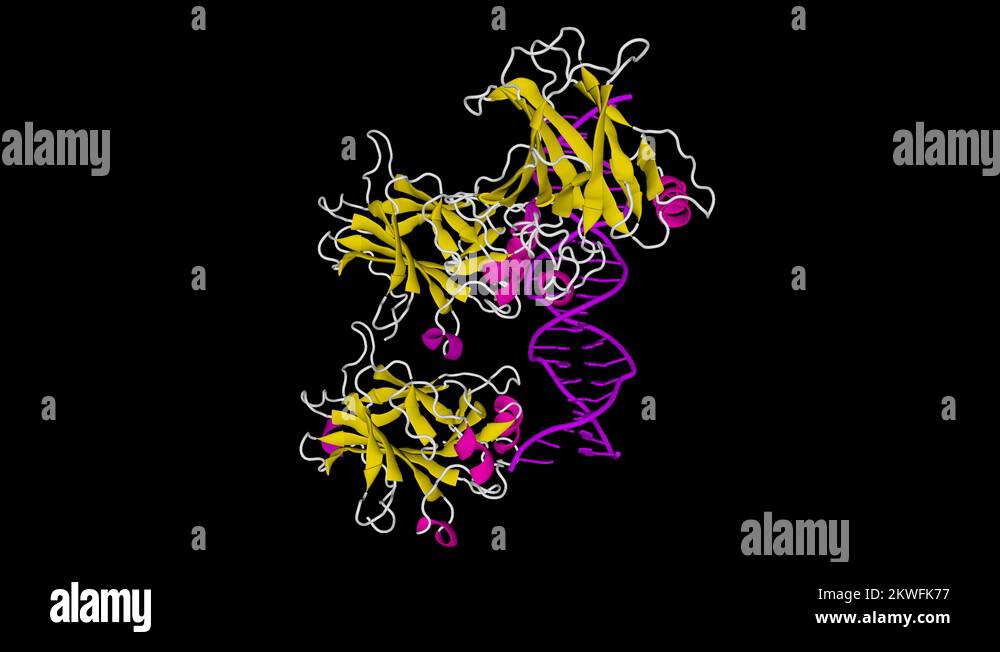 Protease enzyme Stock Videos & Footage - HD and 4K Video Clips - Alamy Protease enzyme Stock Videos & Footage - HD and 4K Video Clips - Alamy