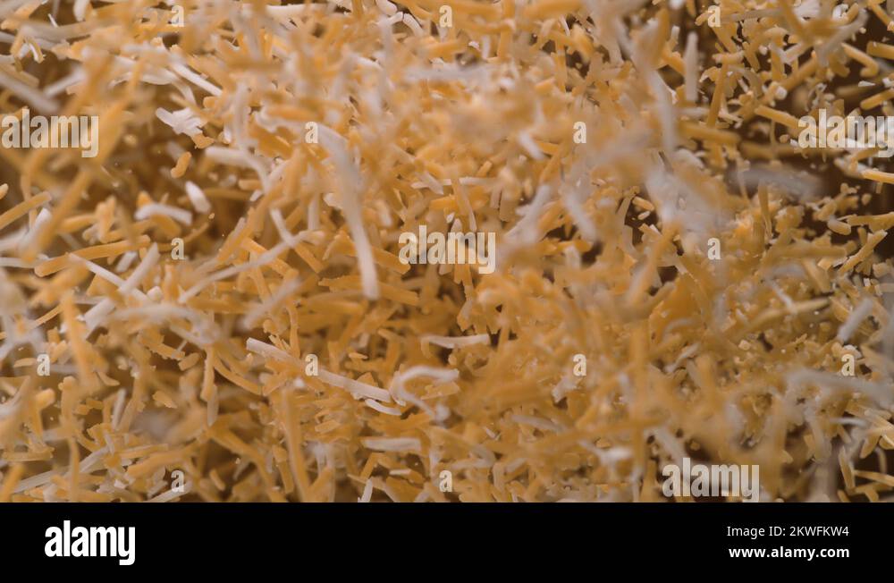 Shredded cheddar cheese flies after being exploded. Slow Motion Stock ...