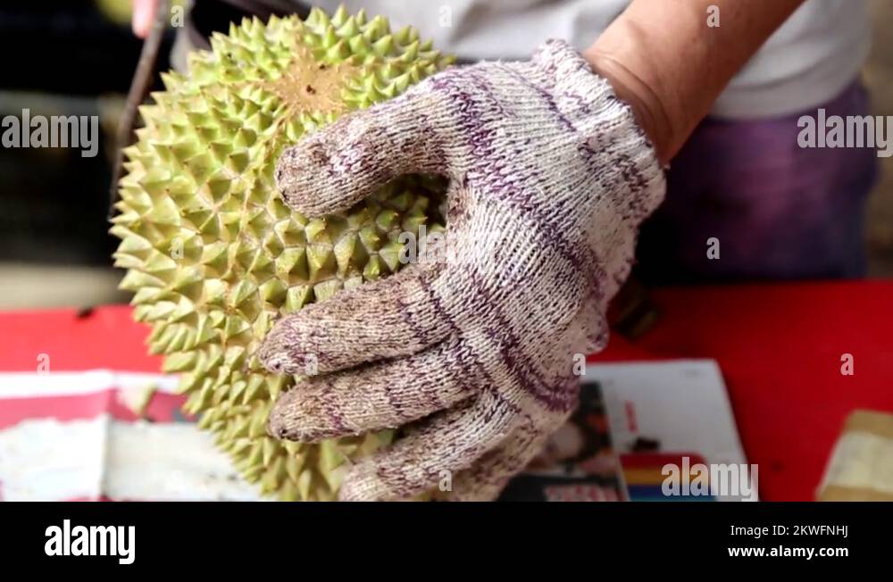 King person Stock Videos & Footage - HD and 4K Video Clips - Alamy