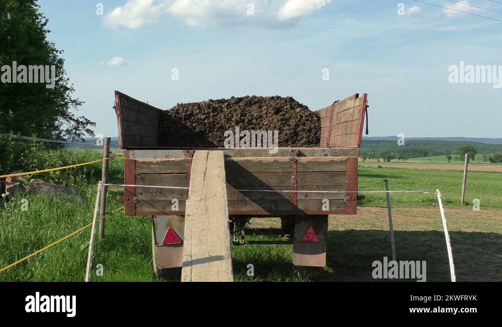 Horse manure pile Stock Videos & Footage - HD and 4K Video Clips - Alamy