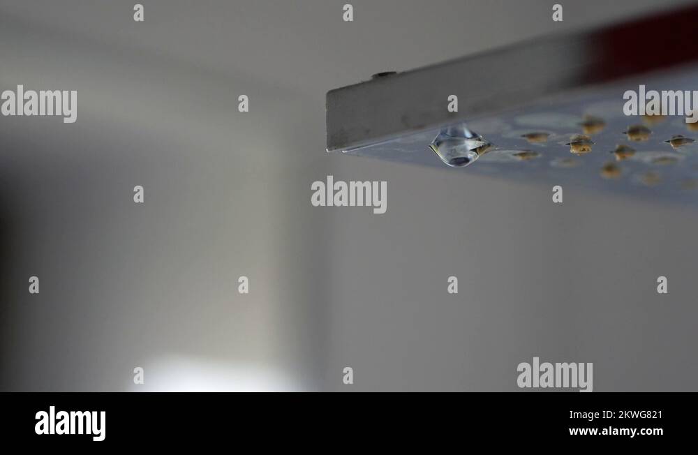 Shower Stock Videos & Footage - HD and 4K Video Clips - Alamy