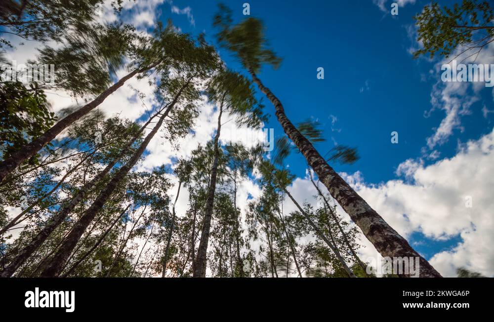 Glimpse of heaven Stock Videos & Footage - HD and 4K Video Clips - Alamy