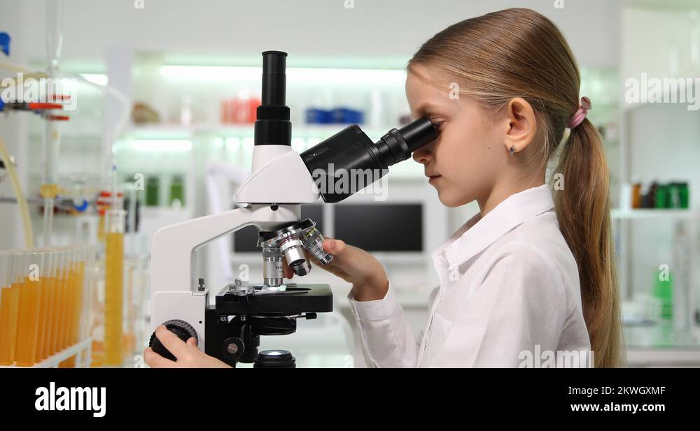 Student Girl Use Microscope in School Chemistry Lab, Child Making ...