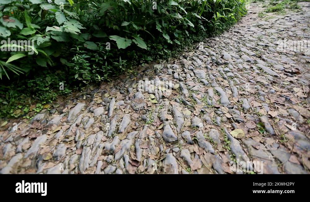 Cuban environment Stock Videos & Footage - HD and 4K Video Clips - Alamy