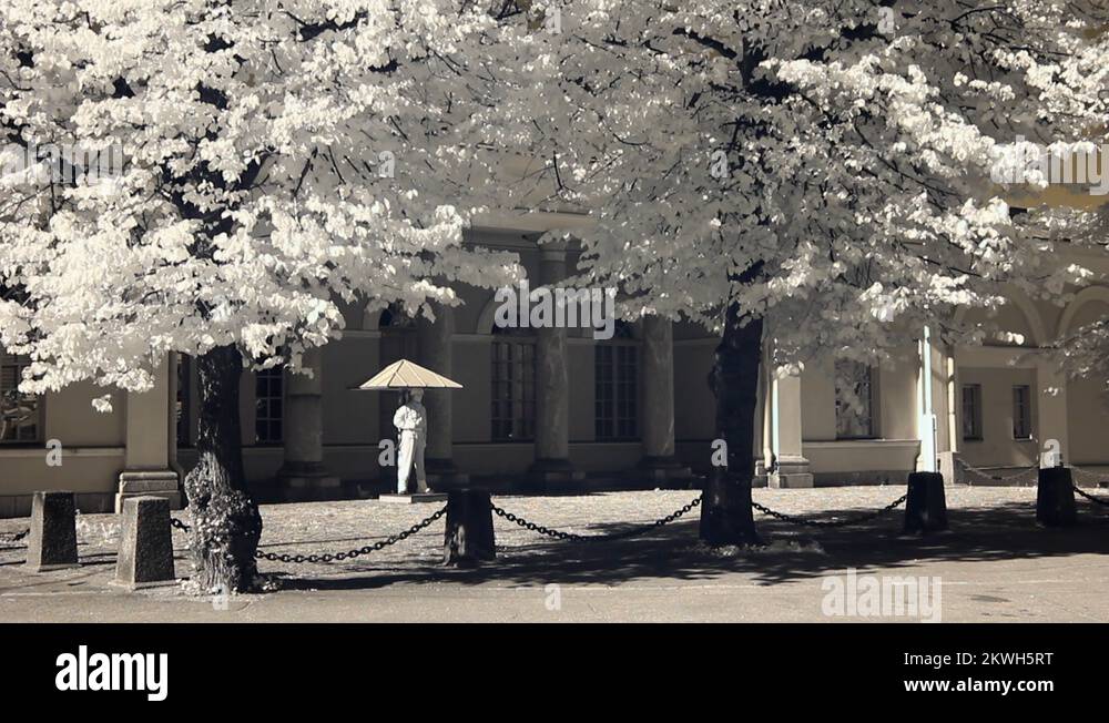 Finnish guard Stock Videos & Footage - HD and 4K Video Clips - Alamy