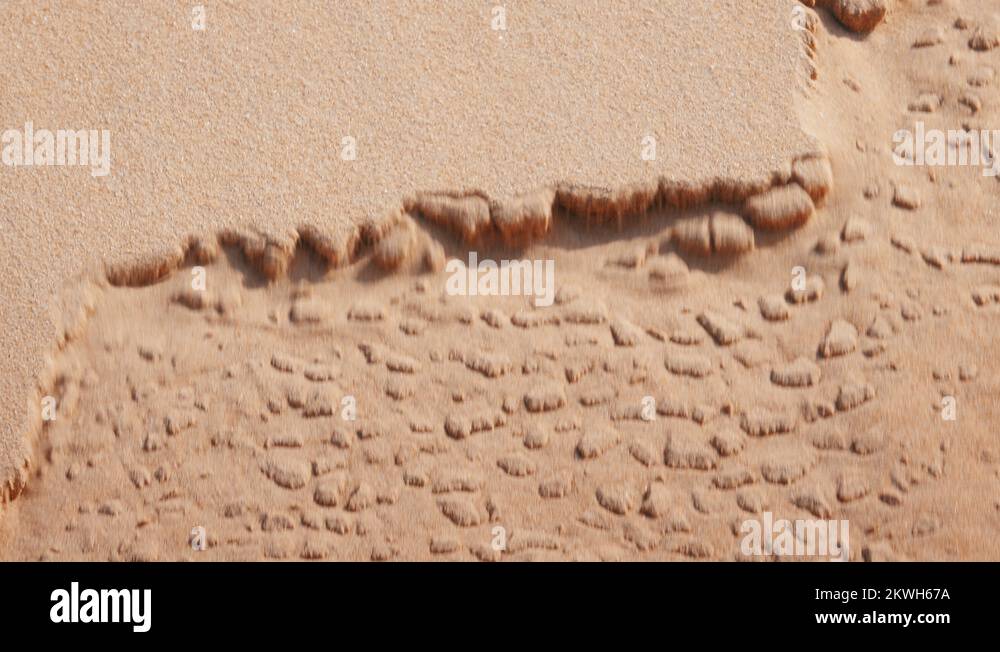 Small clumps Stock Videos & Footage - HD and 4K Video Clips - Alamy