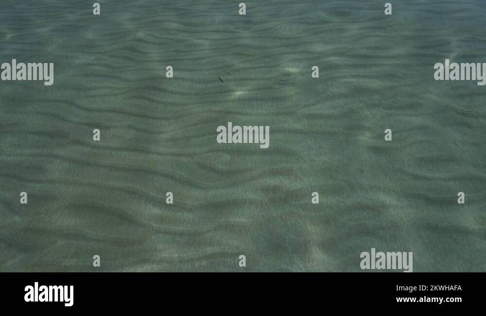 Reflections of legs Stock Videos & Footage - HD and 4K Video Clips - Alamy