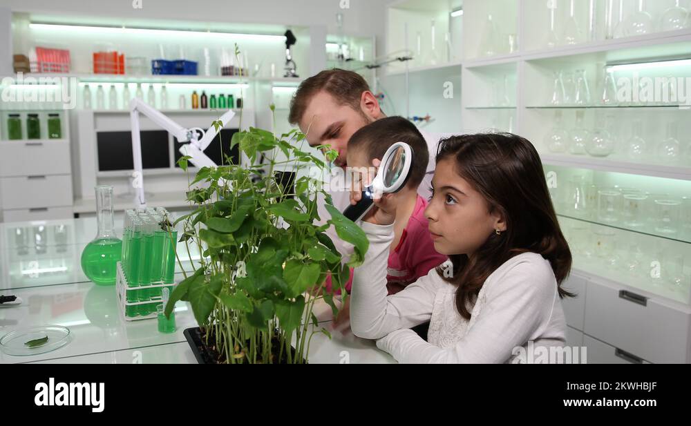 Biology Teacher Teach Girls About Beans Plants Using Magnifying Glass ...