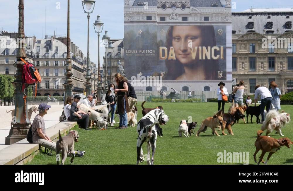 Visit paris with dog Stock Videos & Footage - HD and 4K Video Clips - Alamy